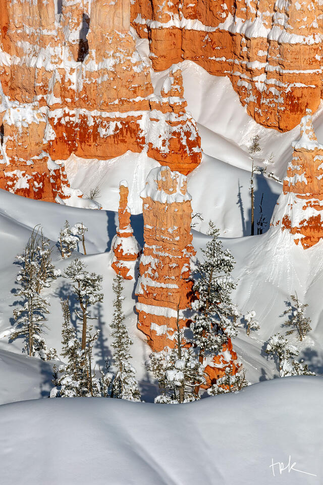 Pillar | Bryce Canyon National Park, Utah | Timothy Keeney Photography