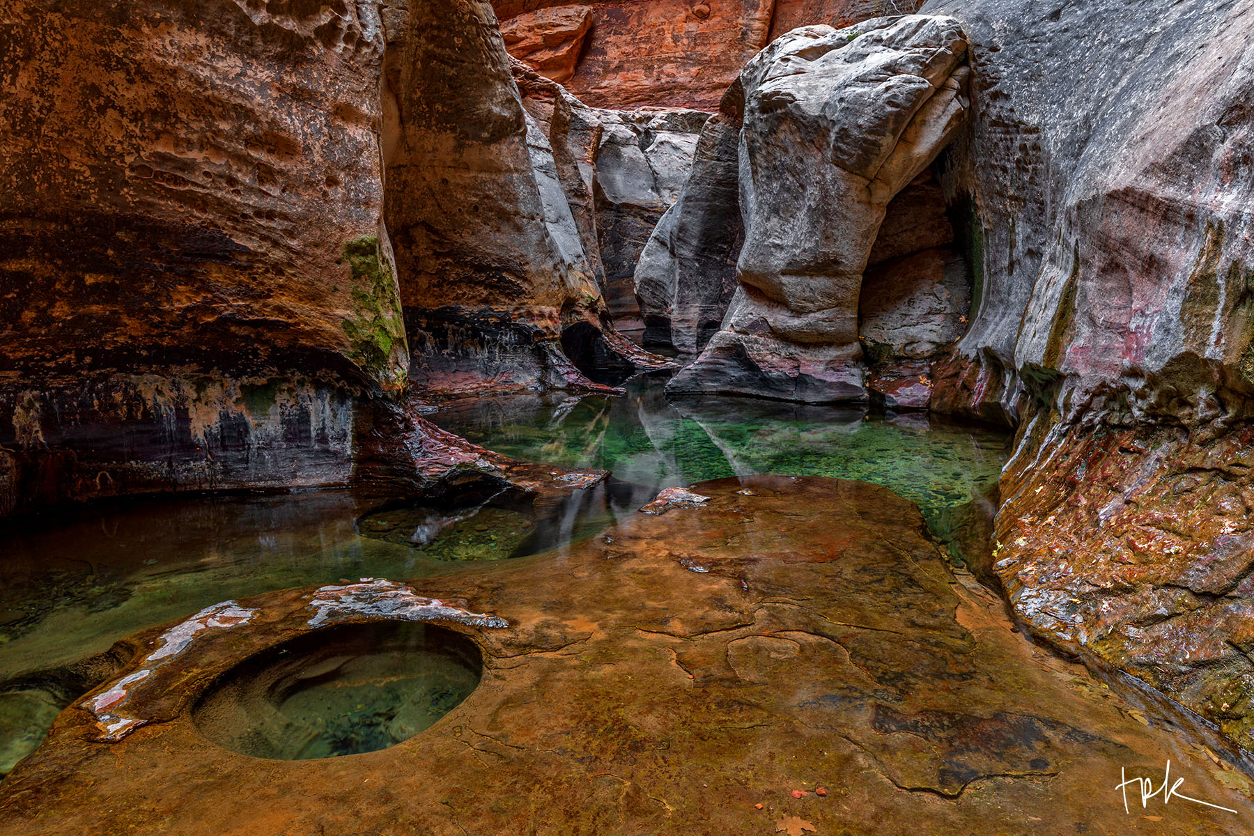Placidity | Zion National Park, Utah | Timothy Keeney Photography