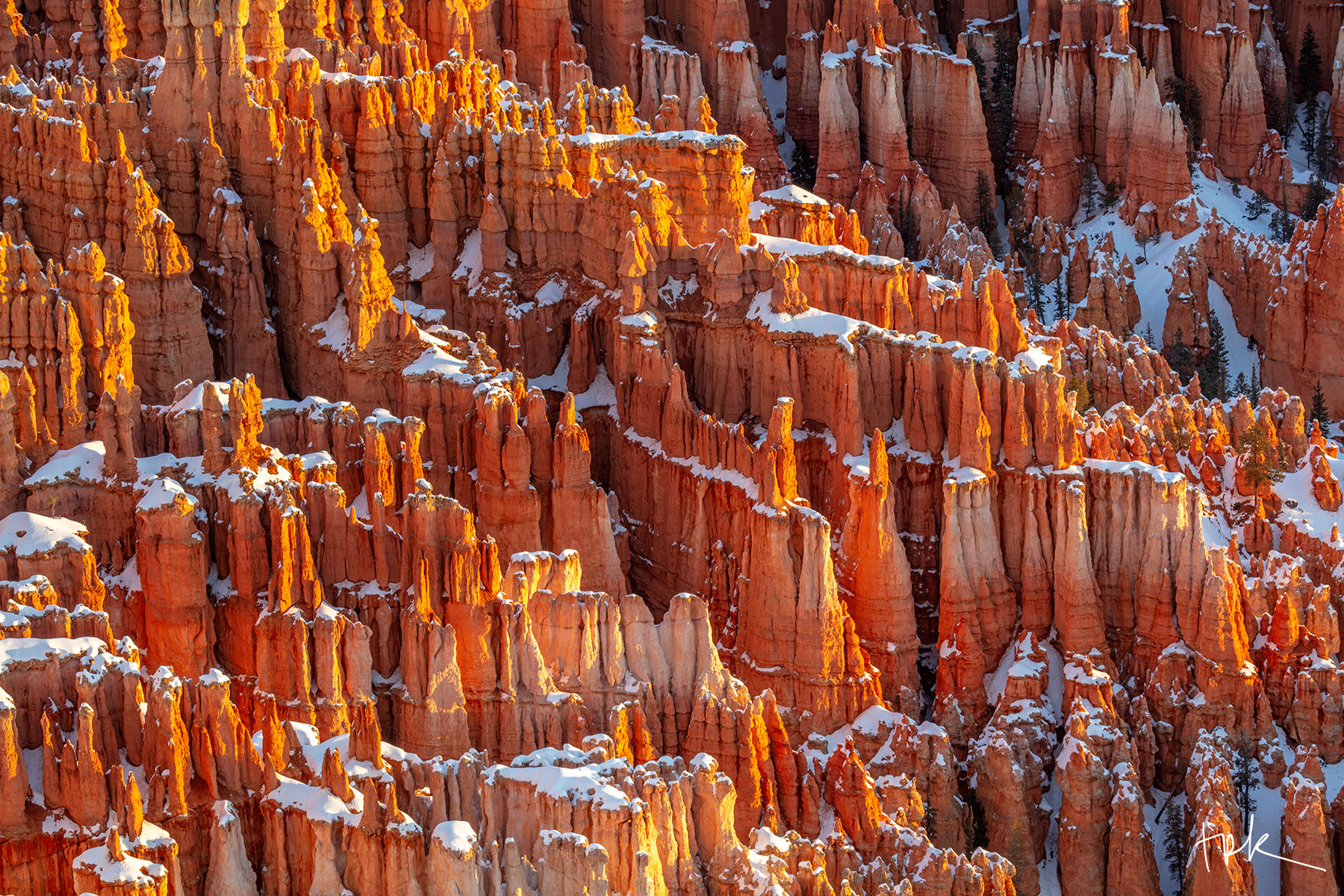 First Light | Bryce Canyon National Park, Utah | Timothy Keeney Photography